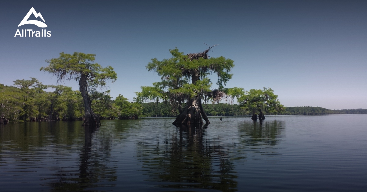 Best Trails in Lake Norris Conservation Area - Florida | AllTrails