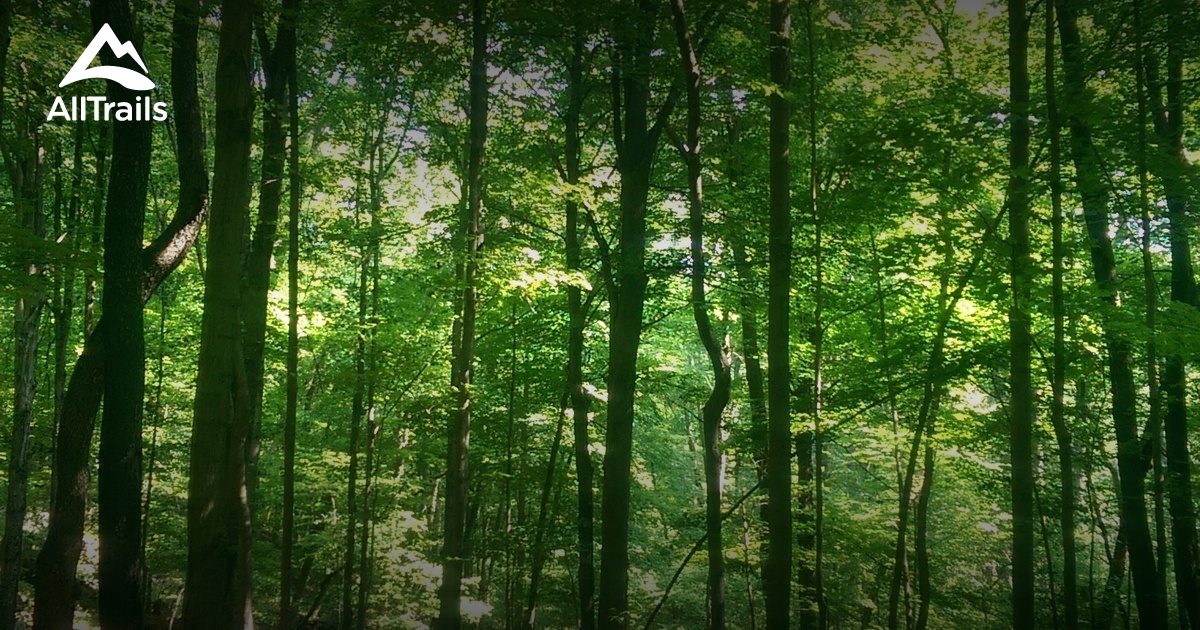 Best hikes and trails in Gedney Park | AllTrails