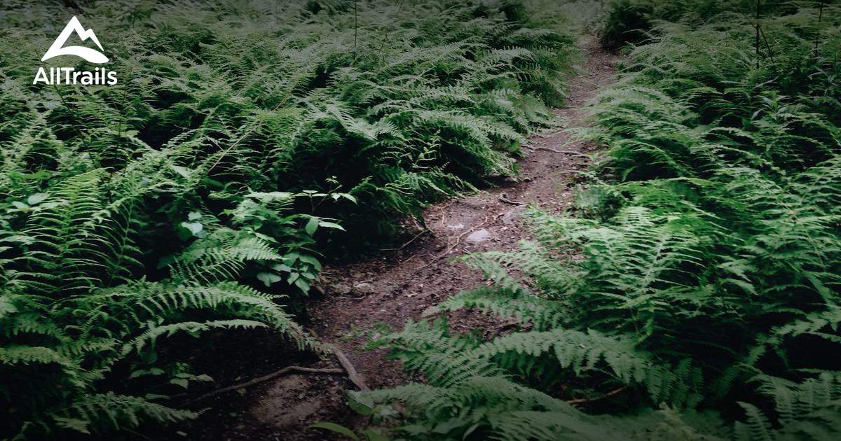 Best Trails in Wrentham State Forest - Massachusetts | AllTrails