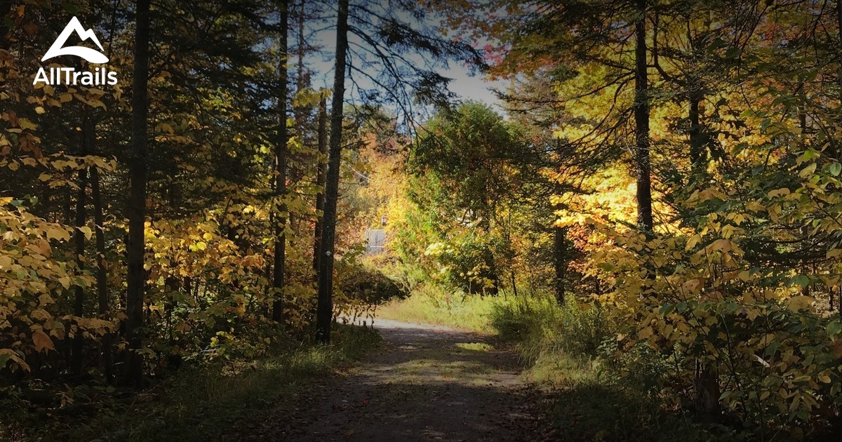 Die Besten Routen für Vogelbeobachtung in Hammond Pond Wild Forest ...