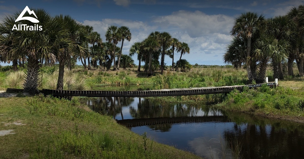 Best hikes and trails in Canaveral Marshes Conservation Area | AllTrails