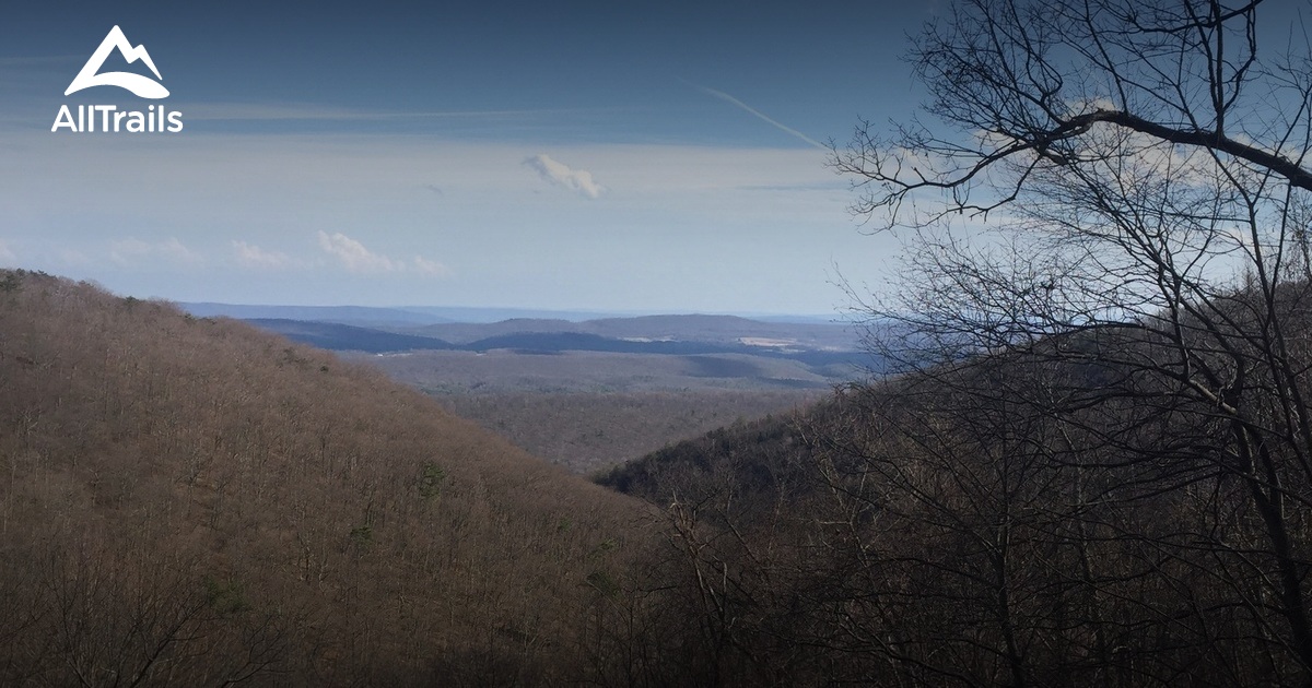 Best Trails in Buchanan State Forest - Pennsylvania | AllTrails