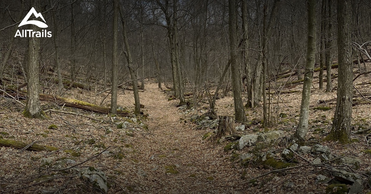Best Trails in Buchanan State Forest - Pennsylvania | AllTrails