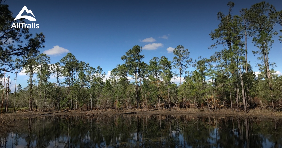 Best long trails in Seminole State Forest | AllTrails