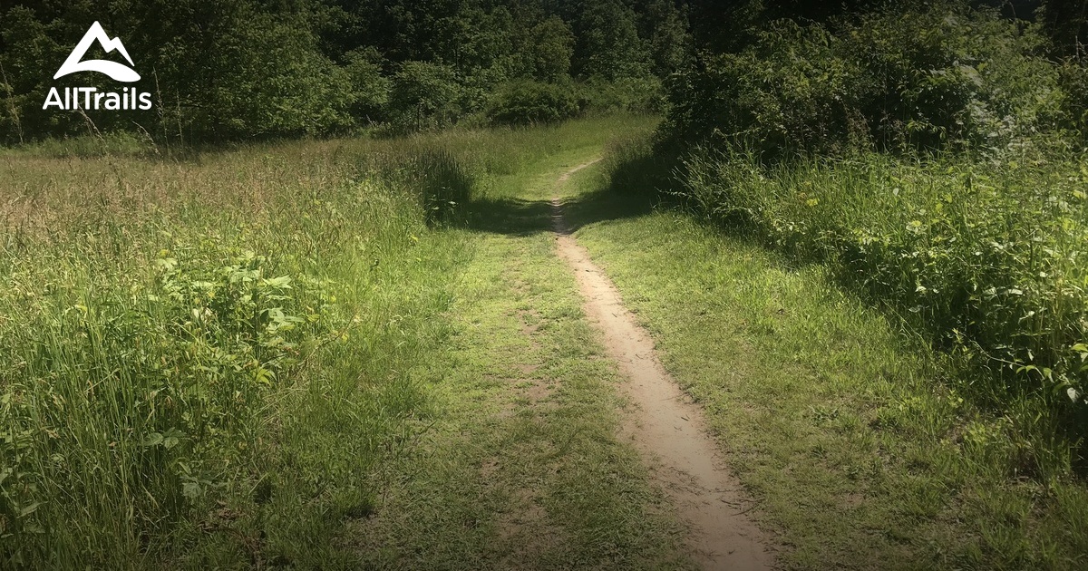 Best moderate trails in Whiting Road Nature Preserve | AllTrails