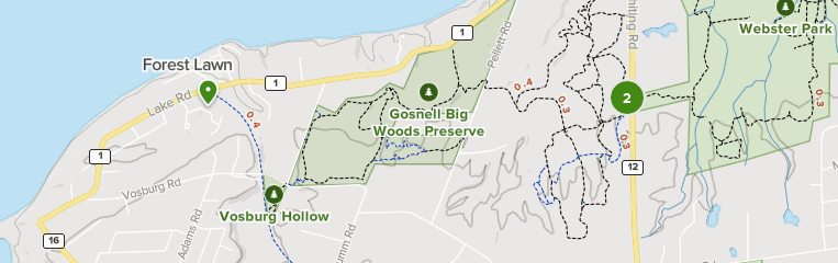 Best Hikes and Trails in Whiting Road Nature Preserve | AllTrails