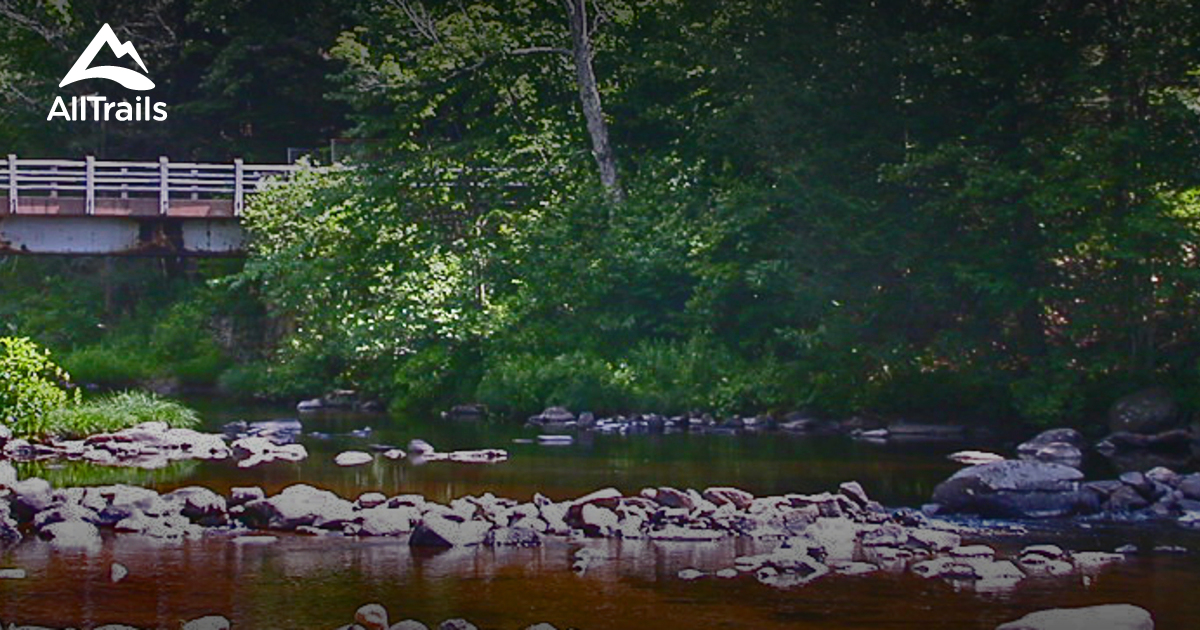Best Trails in Natchaug State Forest - Connecticut | AllTrails