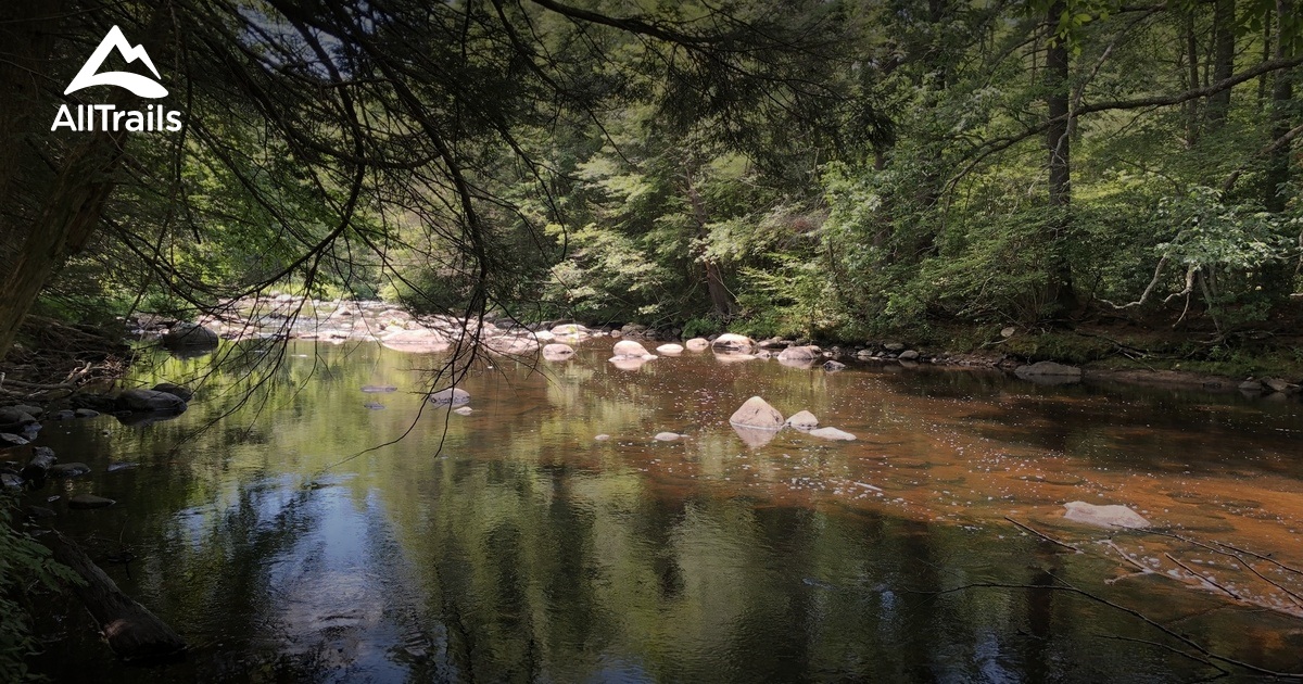 Best Trails in Natchaug State Forest - Connecticut | AllTrails