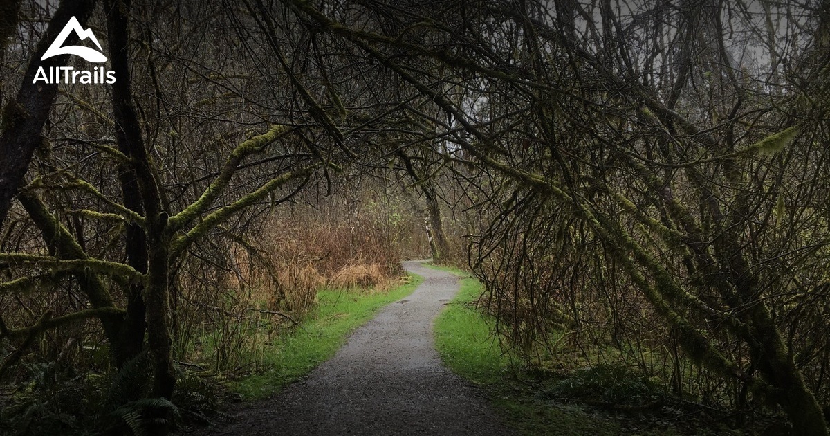 Best Trails in Minnekhada Regional Park - British Columbia, Canada ...