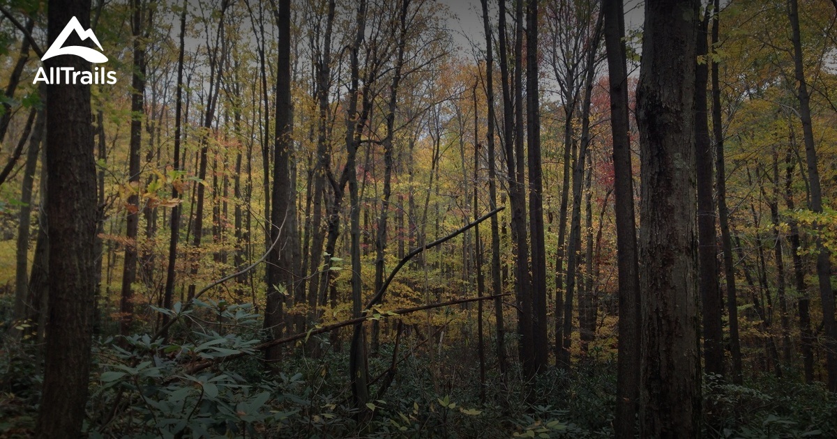 Best Trails in Forbes State Forest - Pennsylvania | 96 Photos & 72 ...