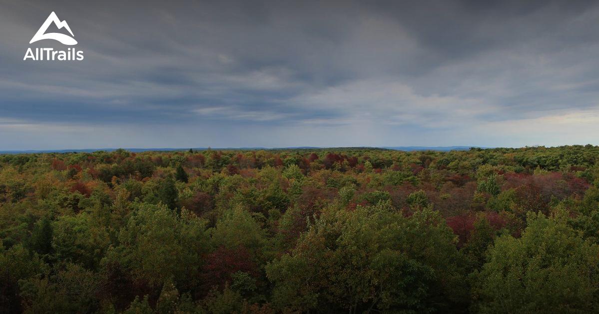 Best Trails in Forbes State Forest - Pennsylvania | AllTrails