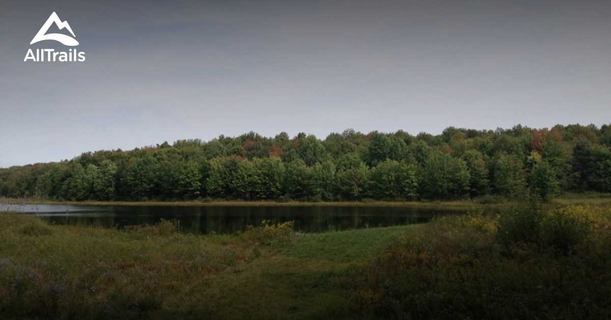 Best Trails in HeIberg Memorial Forest - New York | AllTrails