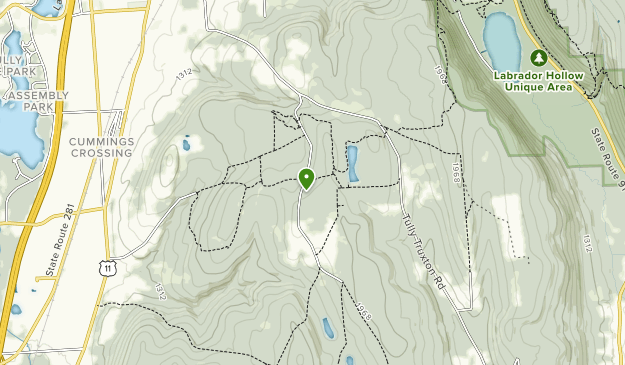 Best Trails in HeIberg Memorial Forest - New York | AllTrails