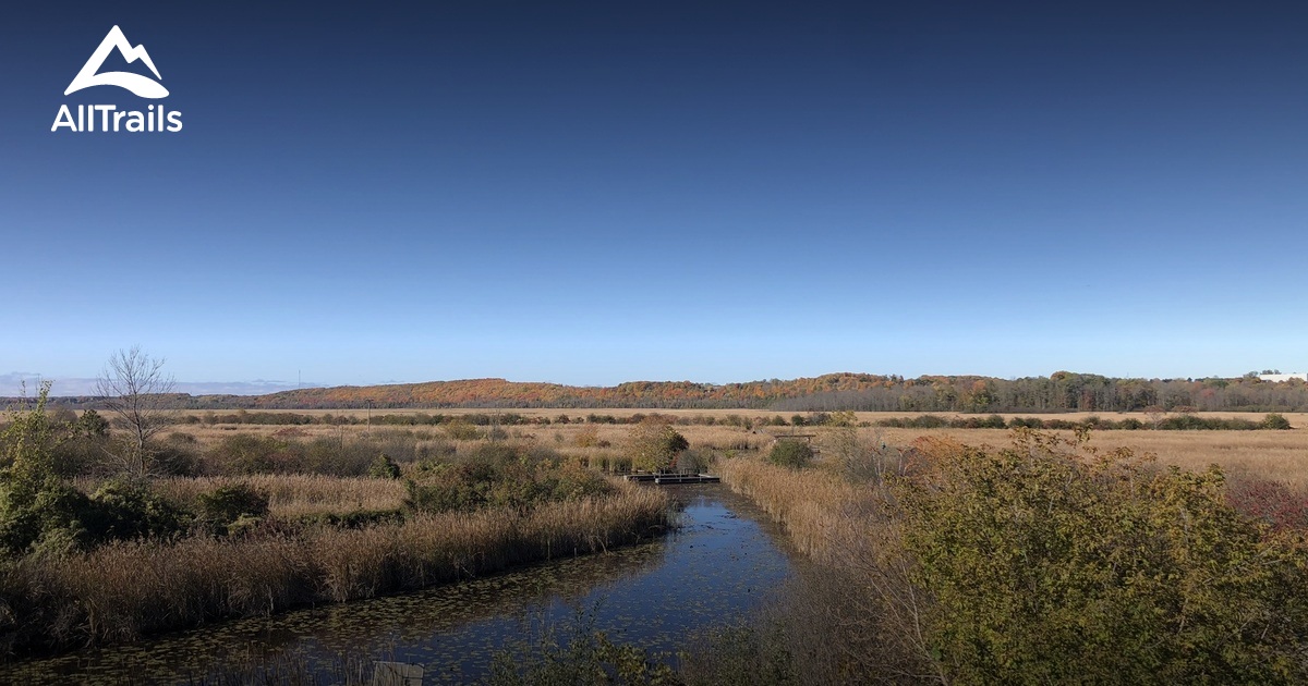 Best hikes and trails in Wye Marsh National Wildlife Area | AllTrails