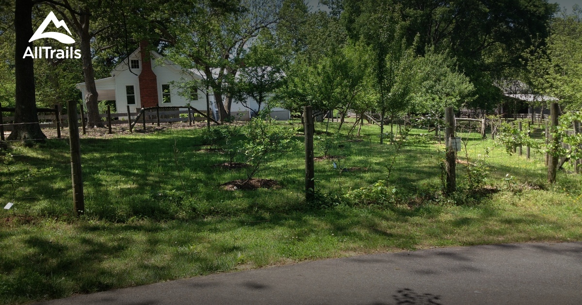 Best Trails in McDaniel Farm Park - Georgia | AllTrails