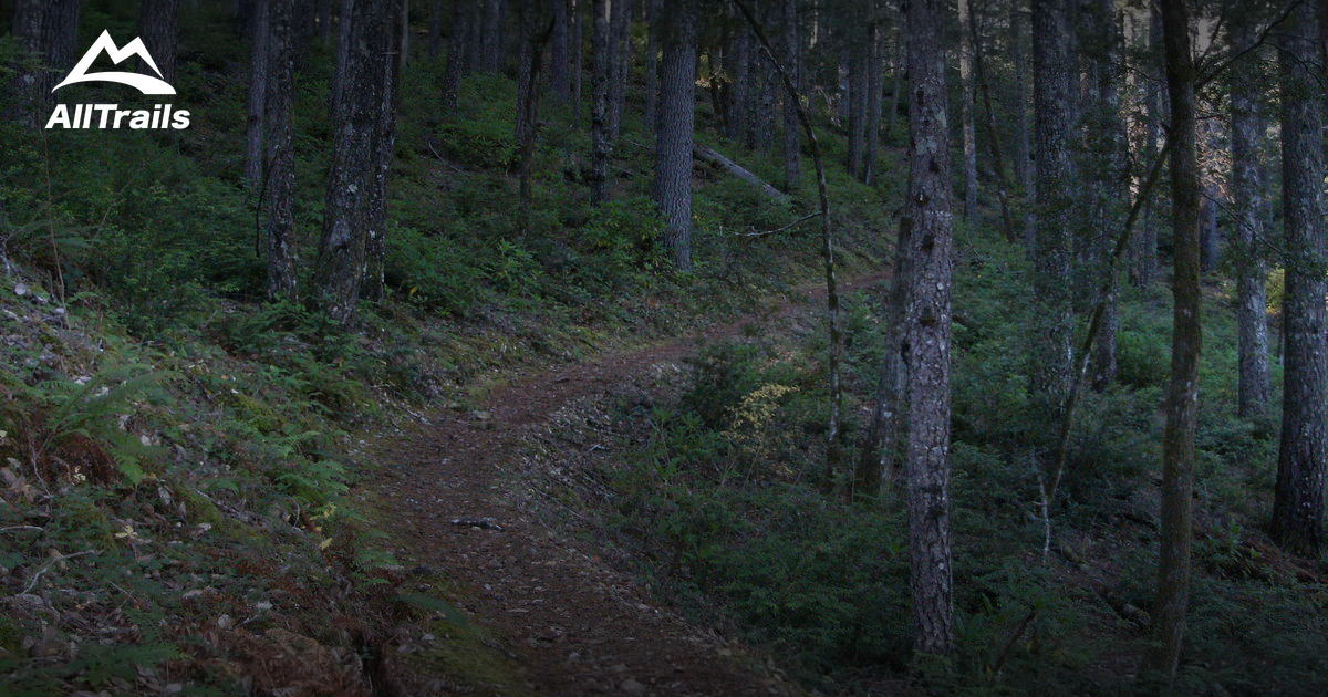 Best Trails in Six Rivers National Forest | AllTrails.com