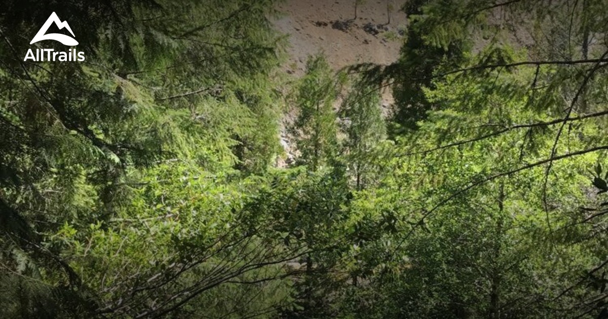 Best Trails in Six Rivers National Forest - California | AllTrails