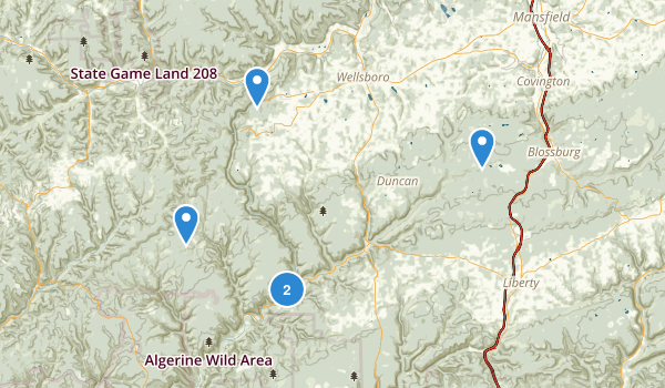 Best Trails in Tioga State Forest | AllTrails.com