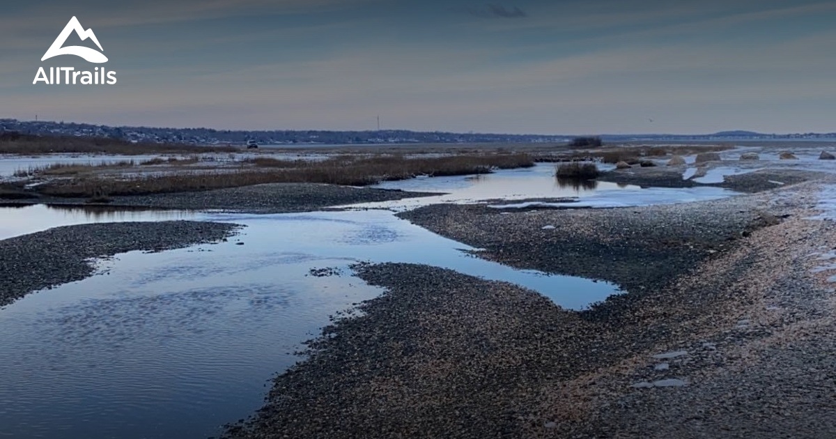 Fogland Beach Conservation Area : les meilleurs itinéraires avec une ...