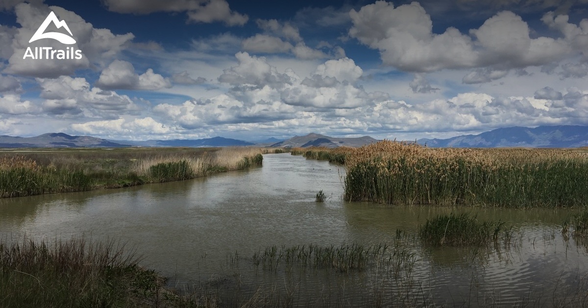 Best Trails in Willard Bay Upland Game Management Area - Utah | AllTrails