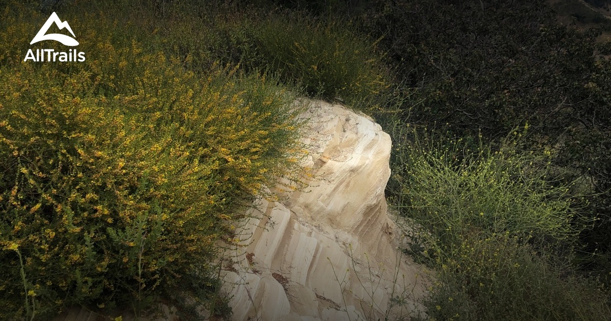 Best hikes and trails in Longridge Park | AllTrails