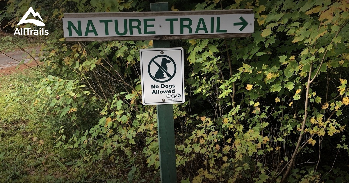 Best hikes and trails in Pack Demonstration Forest | AllTrails