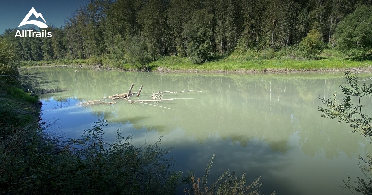 Best hikes and trails in Sandy River Delta Park | AllTrails