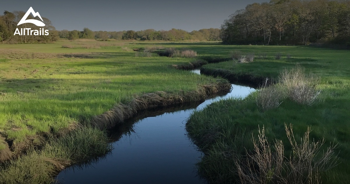 Best hikes and trails in McBratney Land | AllTrails