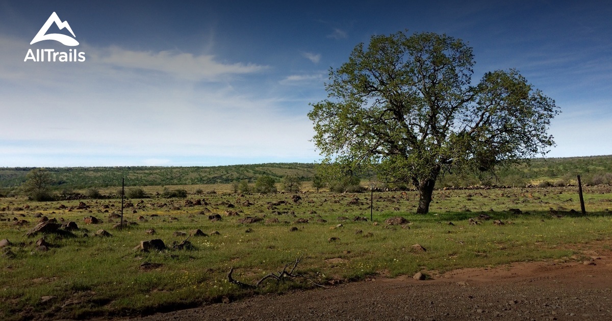 Best hikes and trails in Lake Red Bluff Recreation Area | AllTrails