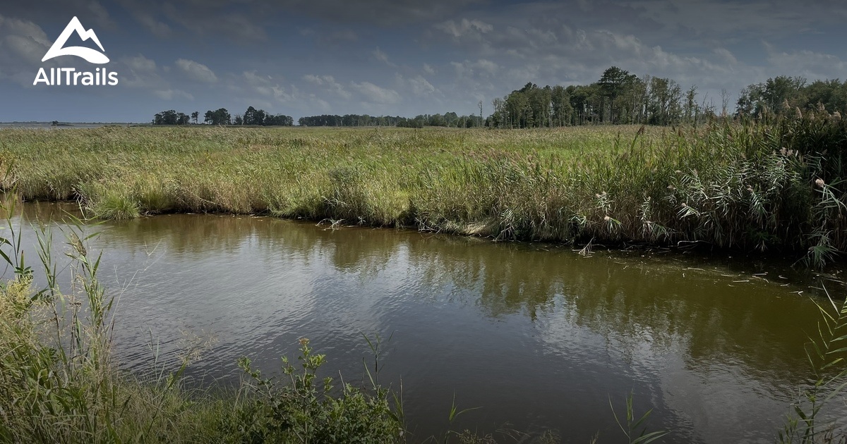 Best hikes and trails in Prime Hook State Wildlife Management Area ...