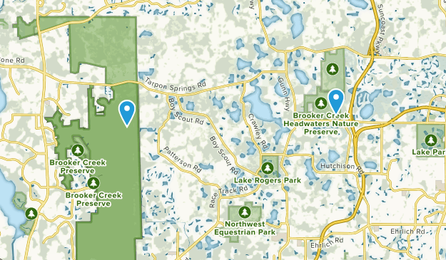 Best Trails in Brooker Creek County Preserve - Florida | AllTrails