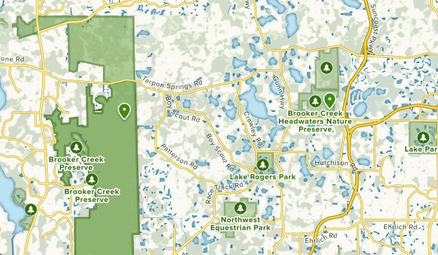 Best Trails in Brooker Creek County Preserve - Florida | AllTrails