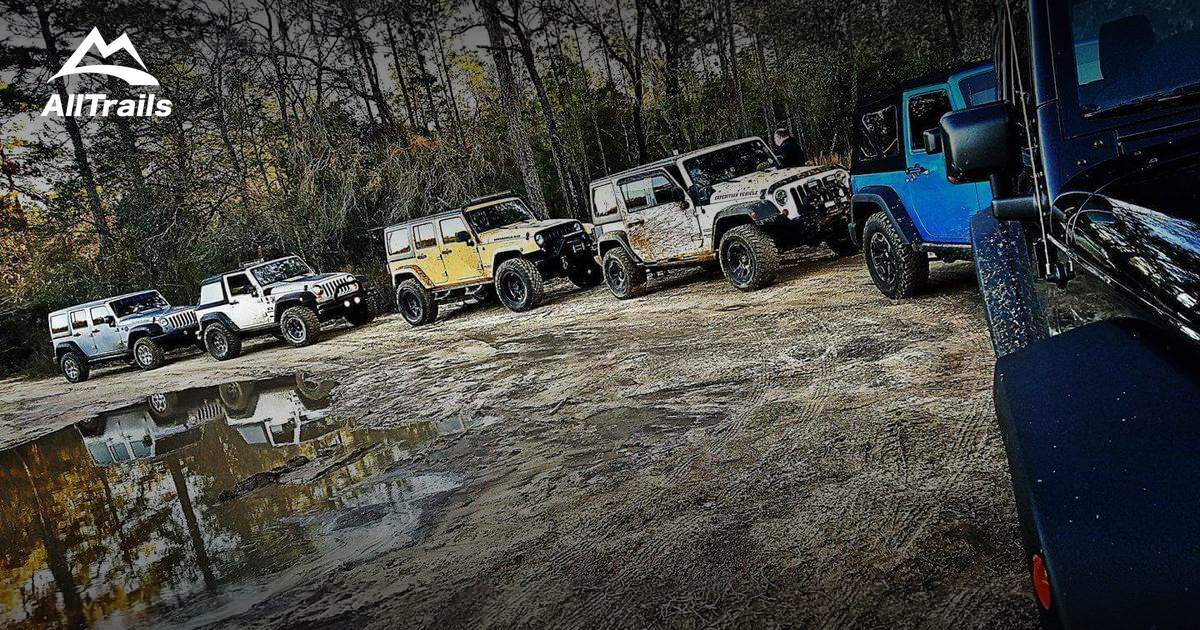 Best Trails in Croom Wildlife Management Area | AllTrails.com