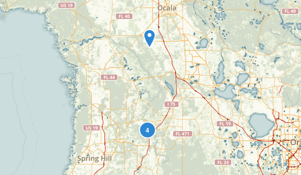 Best Trails in Croom Wildlife Management Area | AllTrails.com