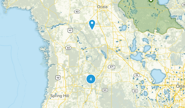 Best Trails in Croom Wildlife Management Area - Florida | AllTrails