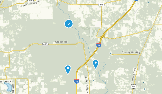 Best Trails in Croom Wildlife Management Area - Florida | AllTrails