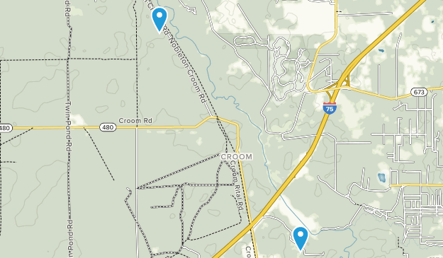 Best Trails in Croom Wildlife Management Area - Florida | AllTrails