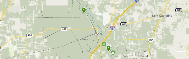 Best Trails in Croom Wildlife Management Area - Florida | AllTrails
