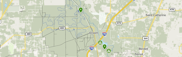 Best trails in Croom Wildlife Management Area, Florida | AllTrails