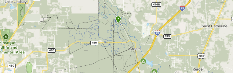 Best Trails in Croom Wildlife Management Area | AllTrails