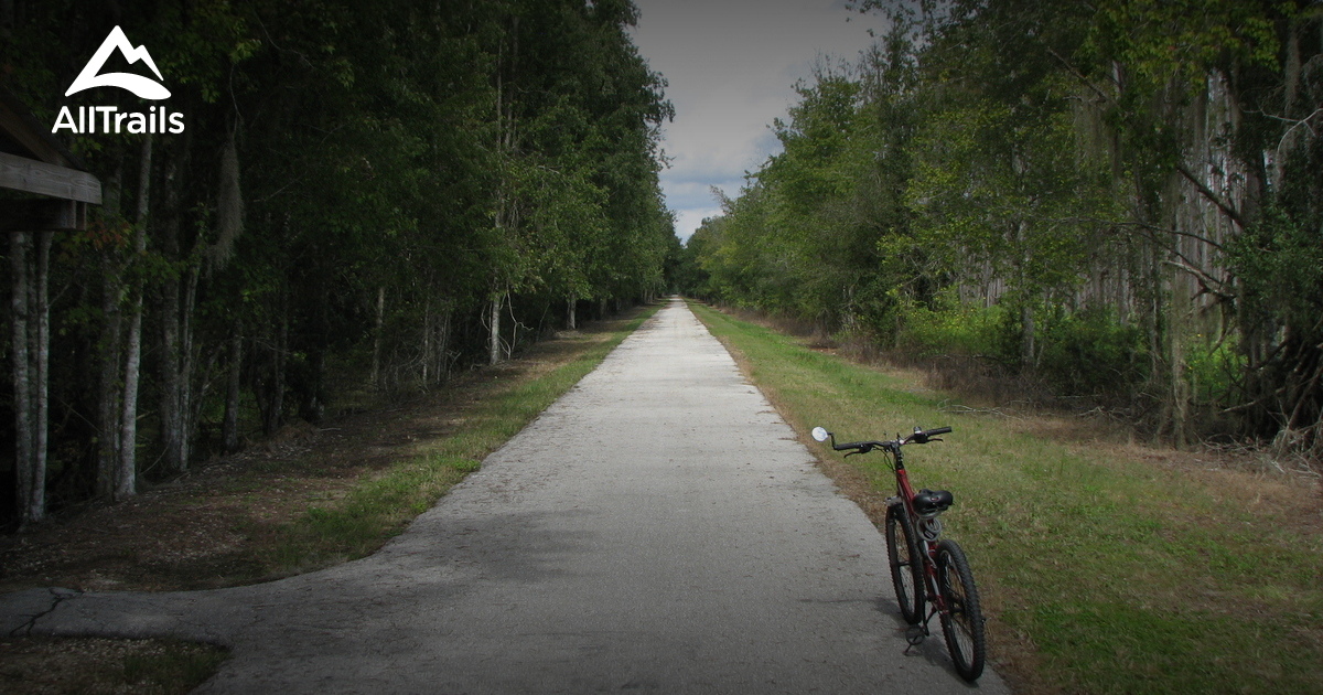 10 Best hikes and trails in Green Swamp Wilderness Preserve | AllTrails