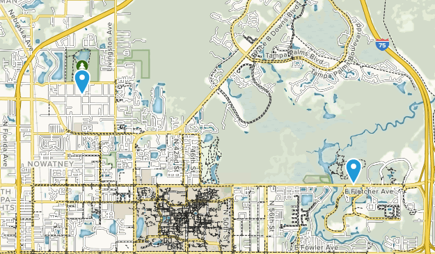 Best Trails in Lettuce Lake Regional Park - Florida | AllTrails