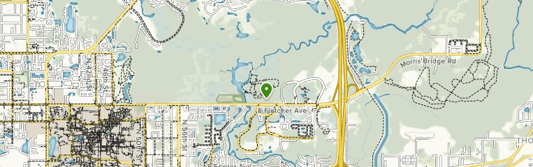 Best Trails in Lettuce Lake Regional Park - Florida | AllTrails