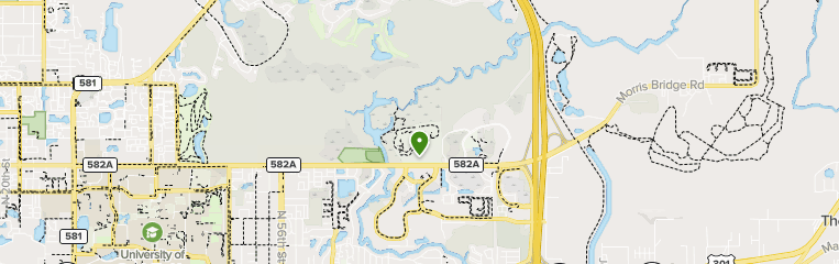 Best Trails in Lettuce Lake Regional Park - Florida | AllTrails