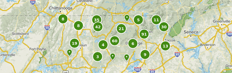 Best Trails in Cohutta Wildlife Management Area - Georgia | AllTrails
