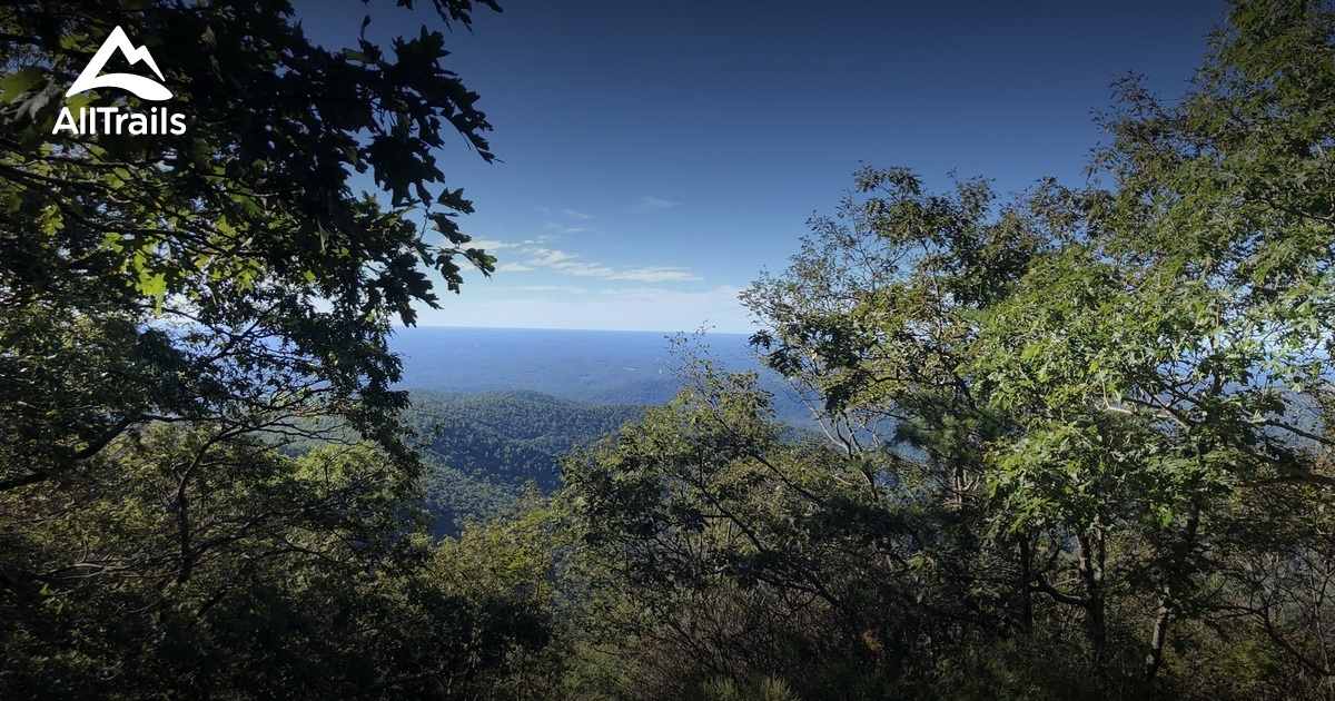 Best Trails in Cohutta Wildlife Management Area - Georgia | AllTrails