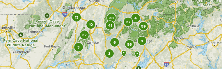 Best 10 Trails in Cohutta Wildlife Management Area | AllTrails