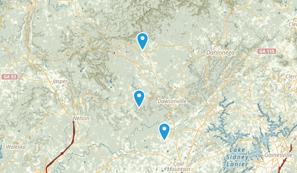 Best Trails in Dawson Forest Wildlife Management Area - Georgia | AllTrails