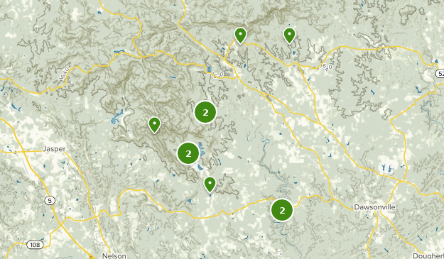 Best Trails in Dawson Forest Wildlife Management Area - Georgia | AllTrails
