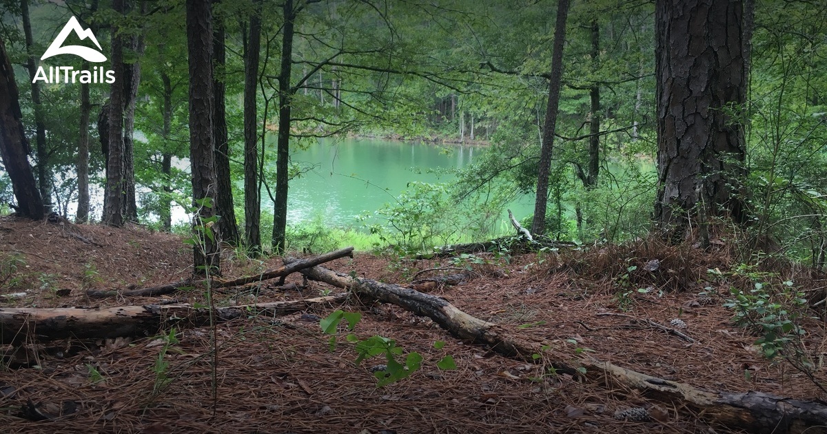 Best hikes and trails in Fort Gordon Recreation Area | AllTrails